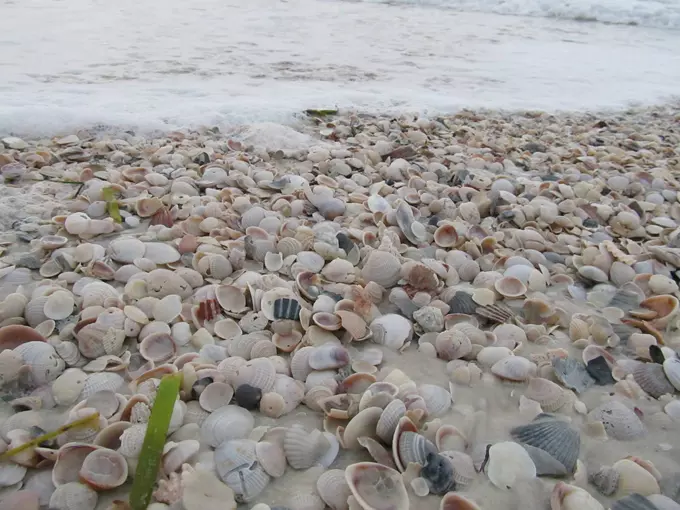 crooked island beach 3