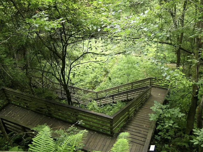 devils millhopper geological state park