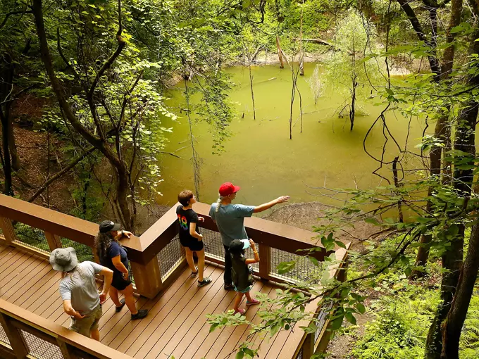 devils millhopper geological state park 5
