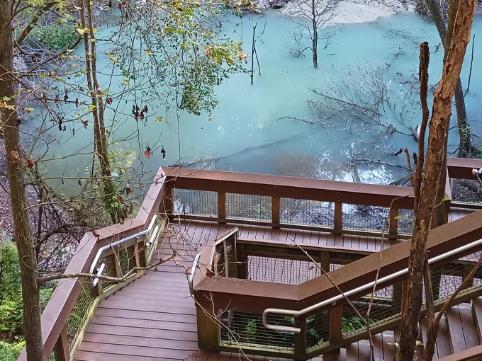 devils millhopper geological state park