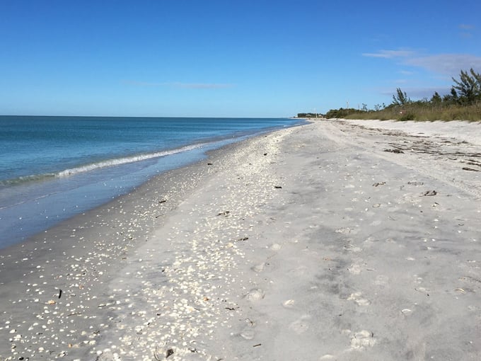 don pedro island state park 3