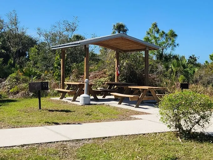 don pedro island state park 7