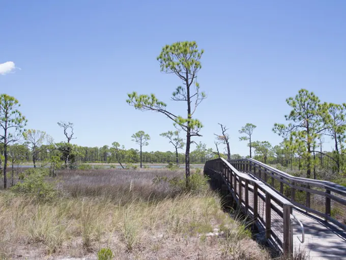 dr. julian g. bruce st. george island state park 8