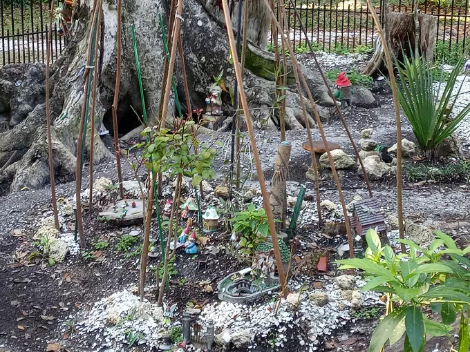 dunlawton sugar mill gardens 5