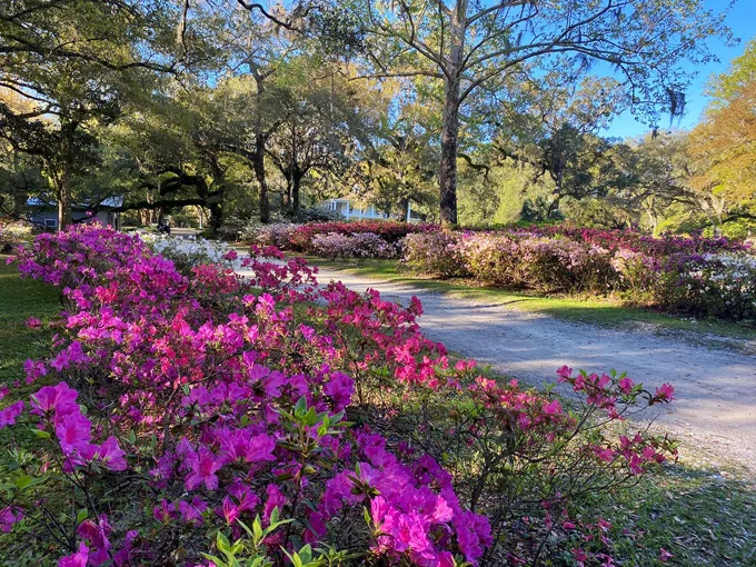 eden gardens state park 4