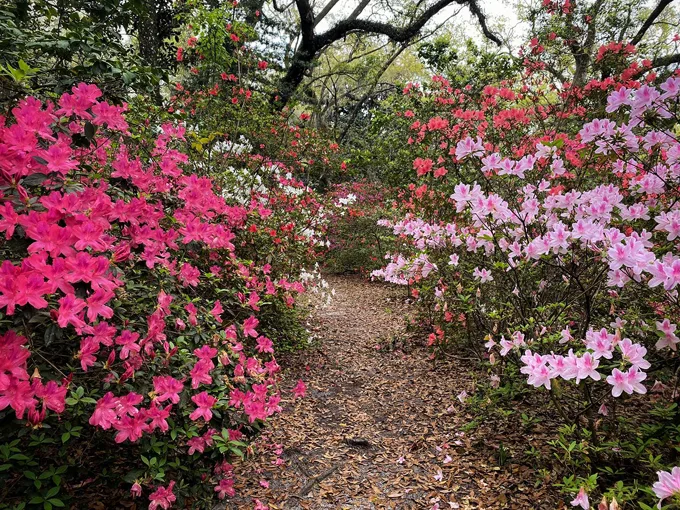 eden gardens state park 5