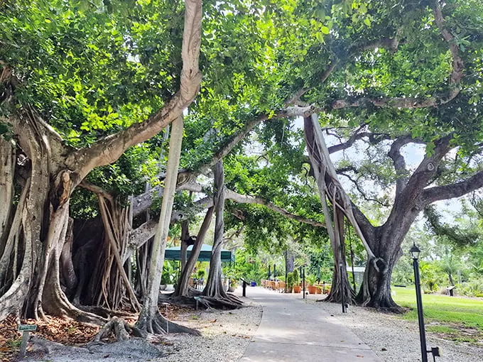 edison and ford winter estates fort myers