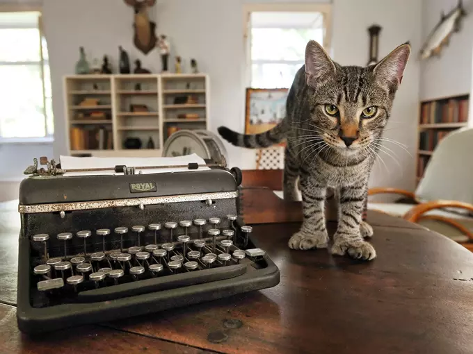 Ernest Hemingway Home & Museum 1