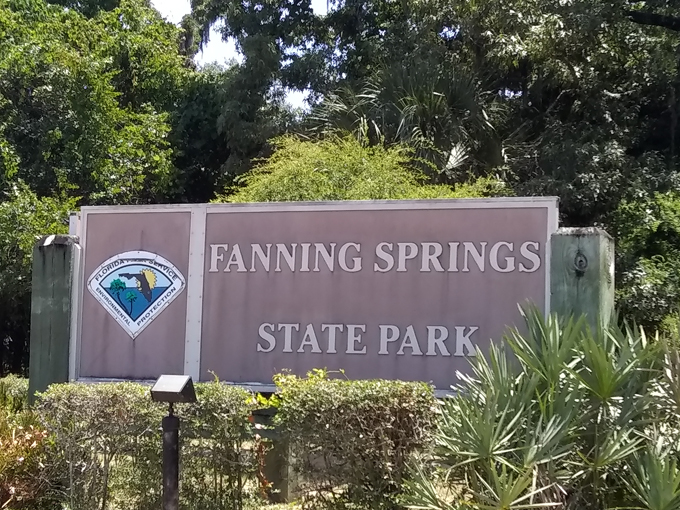 fanning springs state park 3