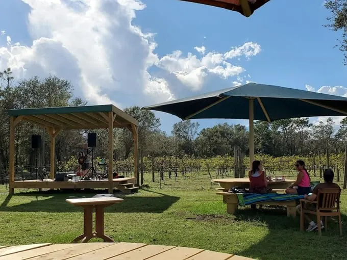 fiorelli winery 6