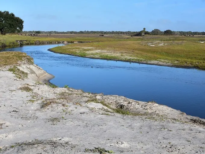 fisheating creek wildlife management area 1
