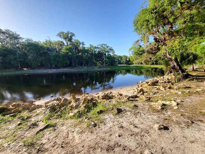 fisheating creek wildlife management area 2