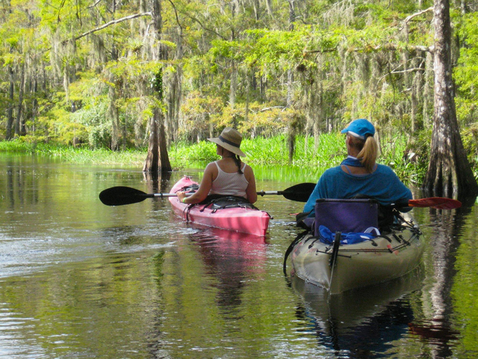 fisheating creek wildlife management area 4