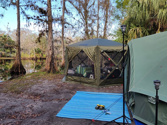 fisheating creek wildlife management area 6