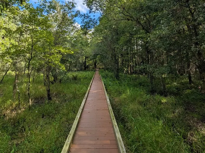 fisheating creek wildlife management area 8