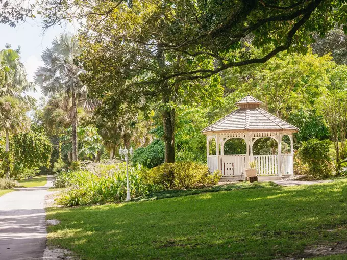 flamingo gardens 9