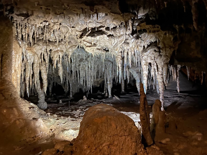 florida caverns state park 2