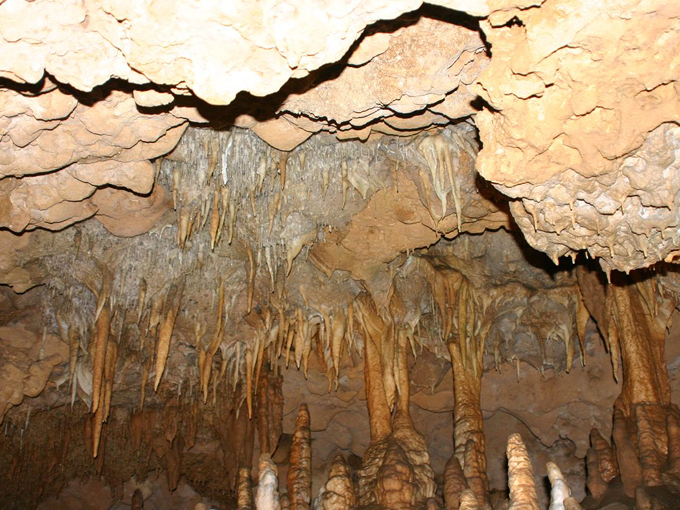 florida caverns state park 5