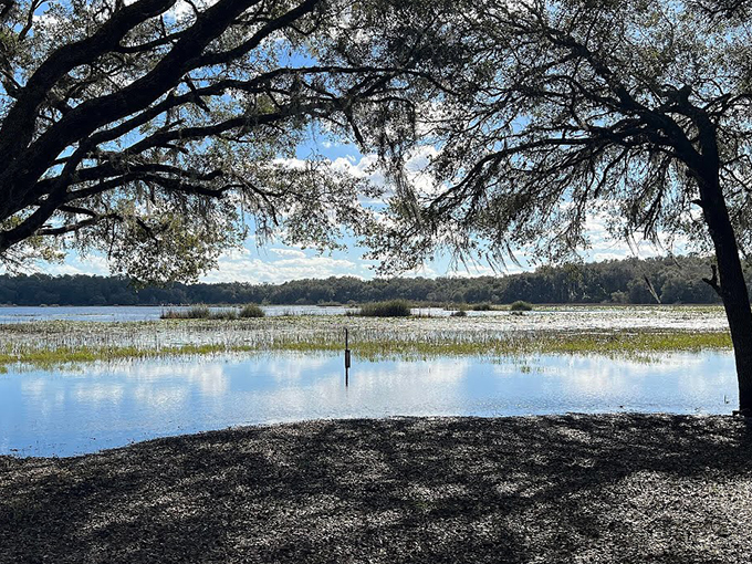 fort cooper state park 2