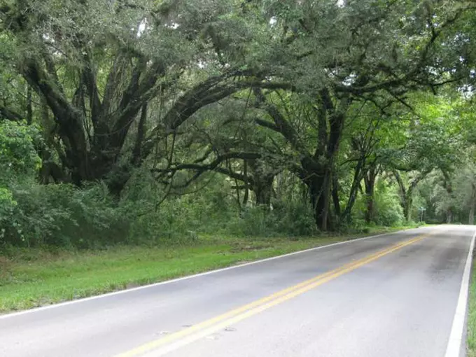 fort dade avenue 1
