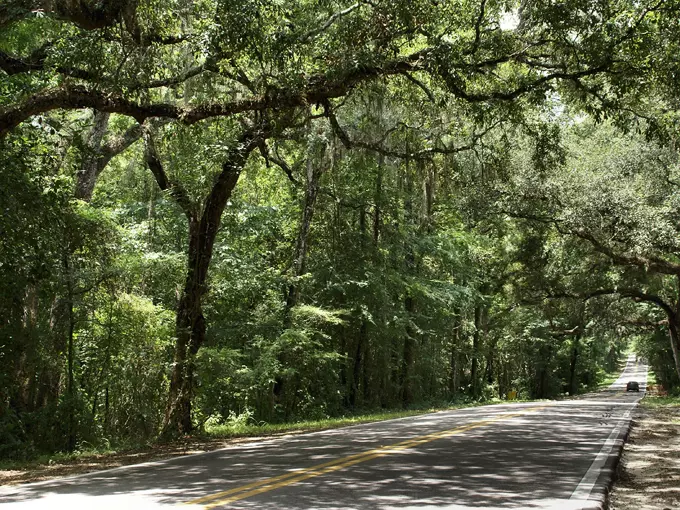 fort dade avenue 2