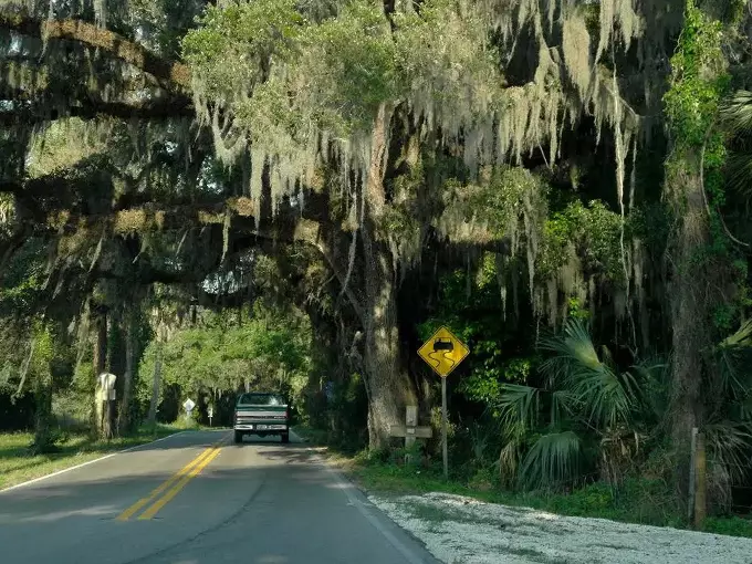 fort dade avenue 4