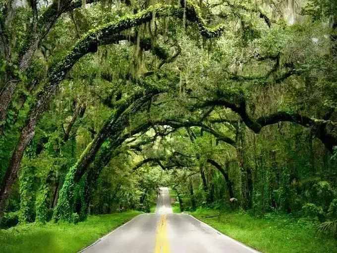 fort dade avenue 7