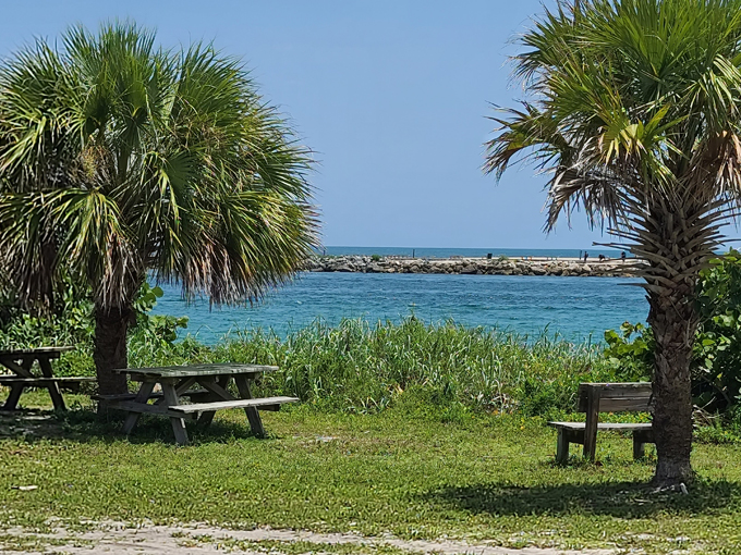 fort pierce inlet state park 8
