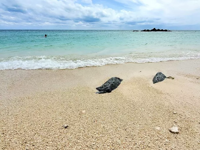fort zachary taylor beach 5