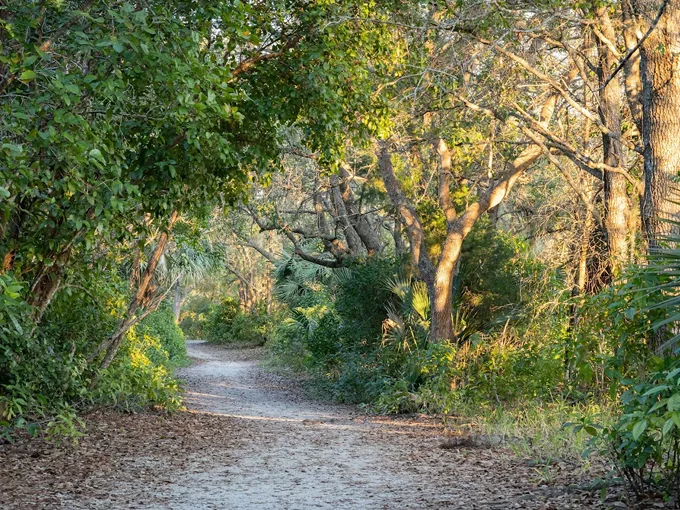 four mile cove ecological preserve 2