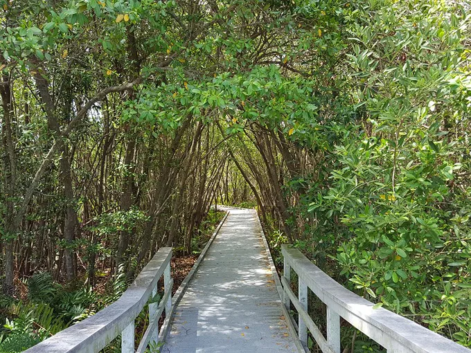 four mile cove ecological preserve 3