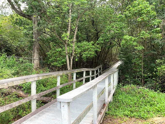 four mile cove ecological preserve 4