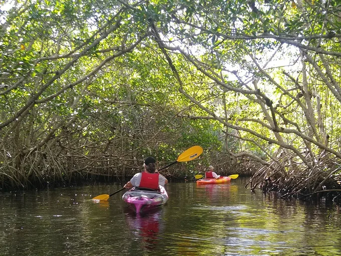 four mile cove ecological preserve 6
