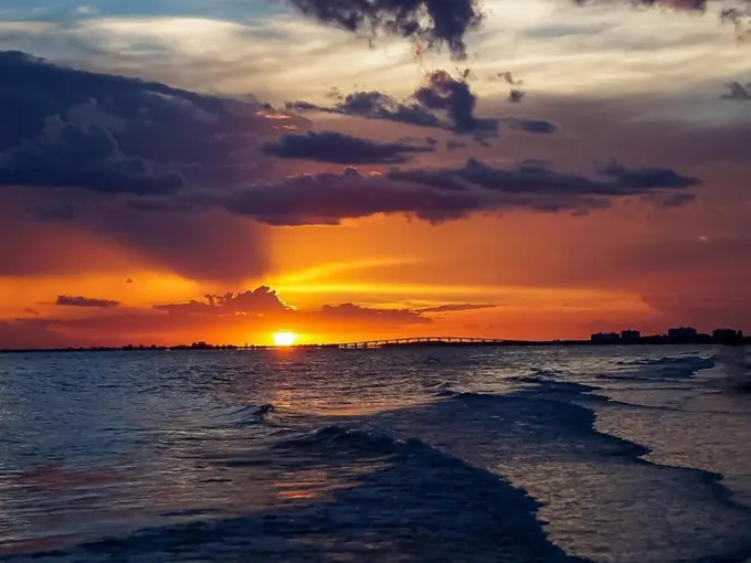 four mile cove ecological preserve 8