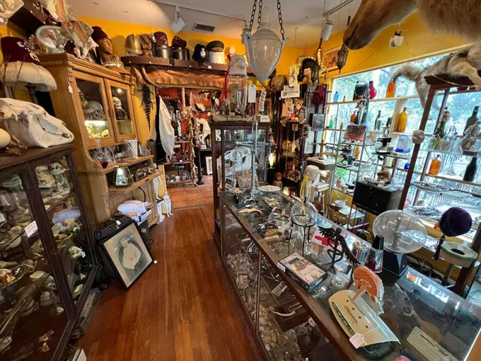 frank mirandas oddities antiques 4