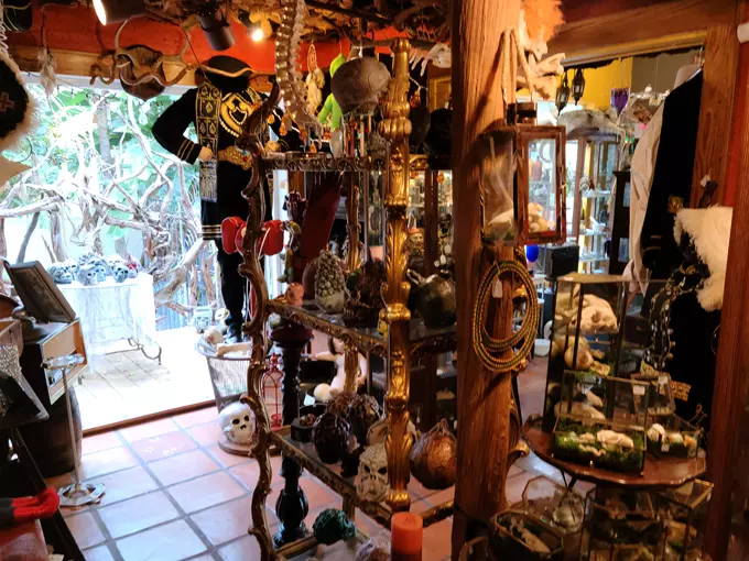 frank mirandas oddities antiques 5
