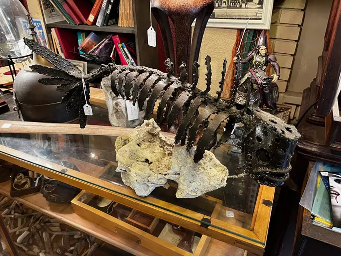 frank mirandas oddities antiques 6