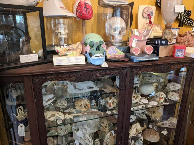 frank mirandas oddities antiques 7