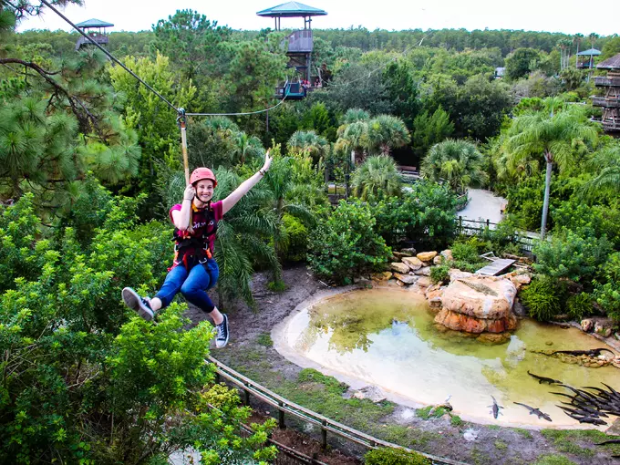 gatorland express train 8