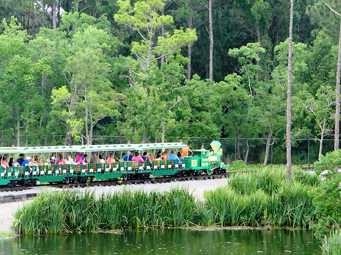 Gulf Breeze Zoo CP Huntington 2