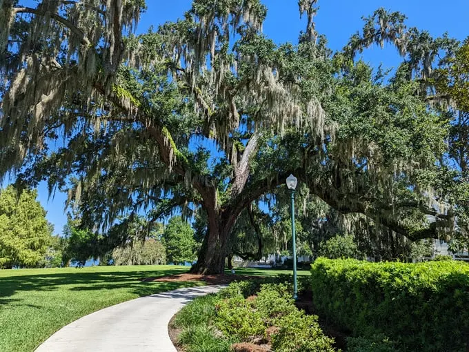 harry p. leu gardens 1