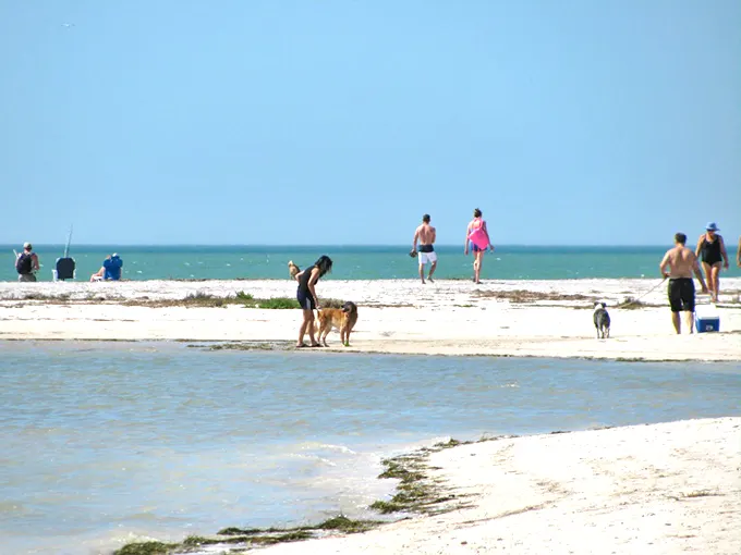 Honeymoon Island State Park