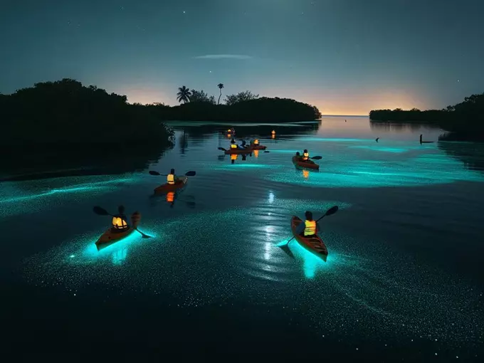indian river lagoon 1
