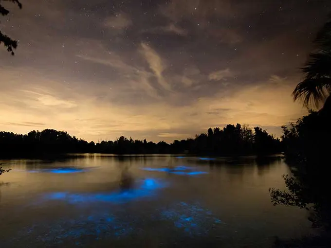 indian river lagoon 1
