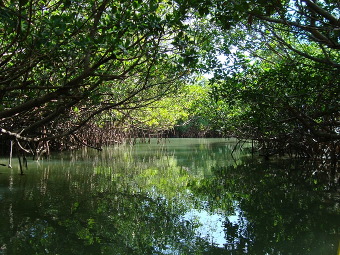 indian river lagoon 2