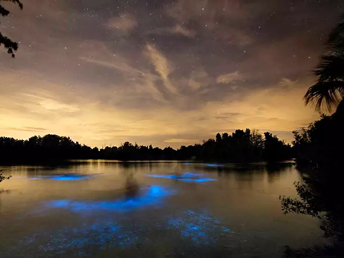 indian river lagoon 3 3