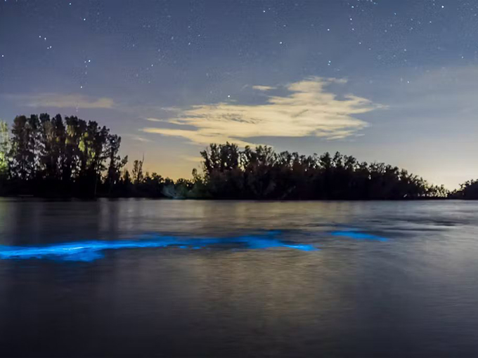 indian river lagoon 6