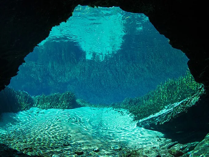 jackson blue springs 7