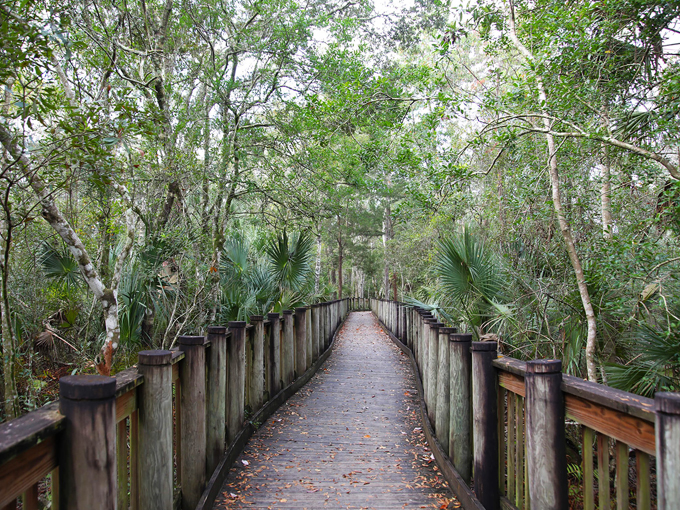 James E. Grey Preserve 1