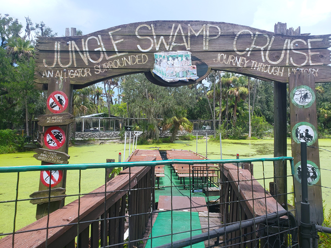 jungle adventures jungle swamp cruise 1